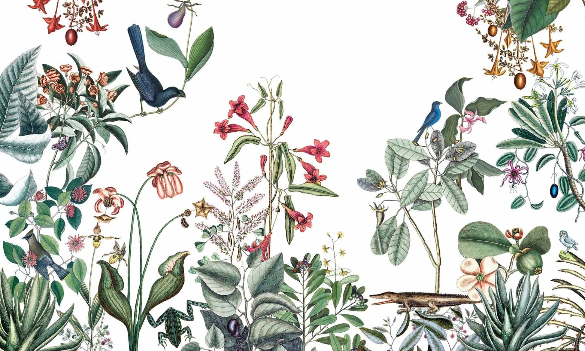 ECLIPSE – anne.casahoursat.maurel@eclipse-sarl.fr